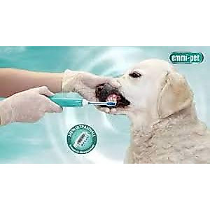 Emmi-pet Ultrasound Bristle-Head Attachments (2 Small Size)