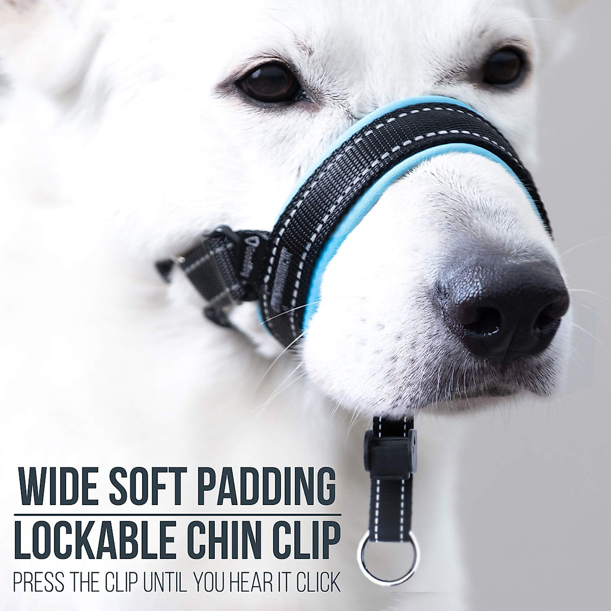 GoodBoy Dog Head Halter with Safety Strap - Stops Heavy Pulling On The Leash - Padded Headcollar for Small Medium and Large Dog Sizes - Head Collar Training Guide Included (Size 2, Pink)