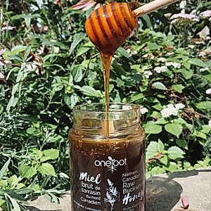 OneRoot Raw Buckwheat Honey - 500g/17.6oz, Unheated, Unfiltered and Unprocessed Natural Dark Honey, Rich in Antioxidants Pure Buckwheat Honey