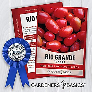 Rio Grande Tomato Seeds for Planting Heirloom Non-GMO Seeds for Home Garden Vegetables Makes a Great Gift for Gardening by Gardeners Basics