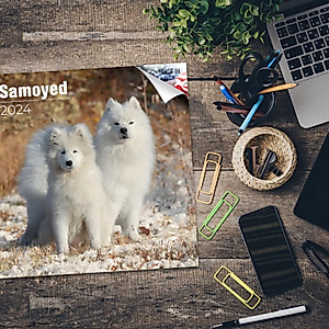2023 2024 Samoyed Calendar - Dog Breed Monthly Wall Calendar - 12 x 24 Open - Thick No-Bleed Paper - Giftable - Academic Teacher's Planner Calendar Organizing & Planning - Made in USA