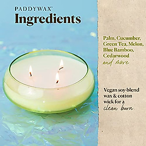 Paddywax Candles Realm Candle, 13.5 Ounces, Green, Bamboo