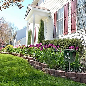 Bird B Gone MMYARD Solar Yard Shield Ultrasonic/Sonic Bird Animal Scare