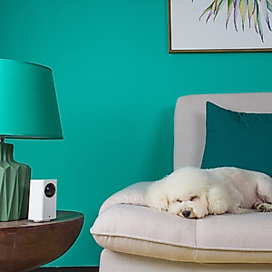 WYZE Cam Pan 1080p Pan/Tilt/Zoom Indoor Pet Monitoring Camera for Dogs & Cats Baby Monitor with WYZE 32GB MicroSD Card Class 10