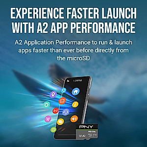 PNY 1TB PRO Elite microSDXC Memory Card - 100MB/s, UHS-I, 4K UHD, Full HD, A2, micro SD