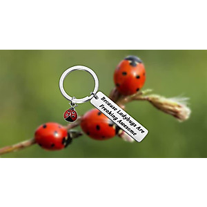 HOLLP Ladybug Jewelry Lady Beetle Gift Because Ladybugs Are Freaking Awesome Keychain for Gardener (Because Ladybugs)