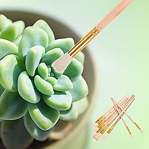 Yardwe 8pcs Pollination Brush Vegetable Pollinator Brush Round Paint Brush Pollen Sprayer Brush Garden Fruit Pollinator