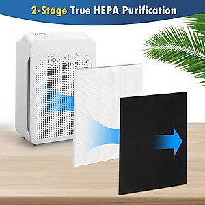 DerBlue 2 Pack C545 True HEPA Filter & 8 Pcs Carbon Pre-Filters Replacement Filter S for Winix C545, True HEPA Filter and Activated Carbon Filter, Part Number 1712-0096-00