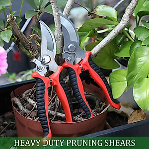 6 Pcs Garden Pruning Shears Bulk Heavy Duty Gardening Scissors Stainless Steel Blades Gardening Shears Handheld Bypass Garden Pruners Manual Plant Clippers for Flower Trimming Secateurs Gardening Tool