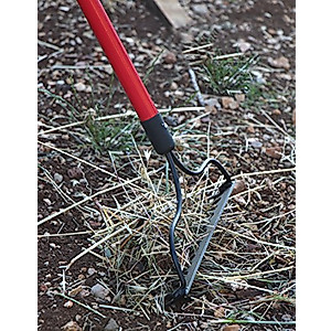 TABOR TOOLS J205A Level Head Rake with Strong Long 54 Inch Fiberglass Handle, 14-Tine Garden Rake.