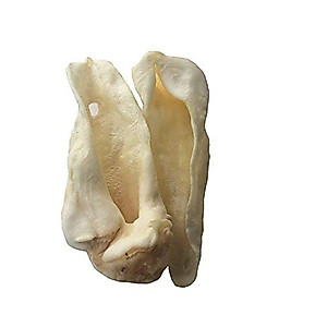 123 Treats Lamb Ear Dog Chews Treat - from Free Range Lambs | All Natural Premium Dog Treats for Your Dog (10 Count)