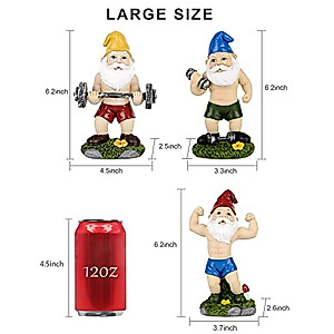 Mrsivrop Funny Workout Garden Gnomes Statues 3pcs 6.2 Inches Outdoor Funny The Muscular, Barbell and Dumbbell Gnomes Decorations Set for Yard, Lawn, Patio, Indoor Gnome Figurine for Home Tabletop