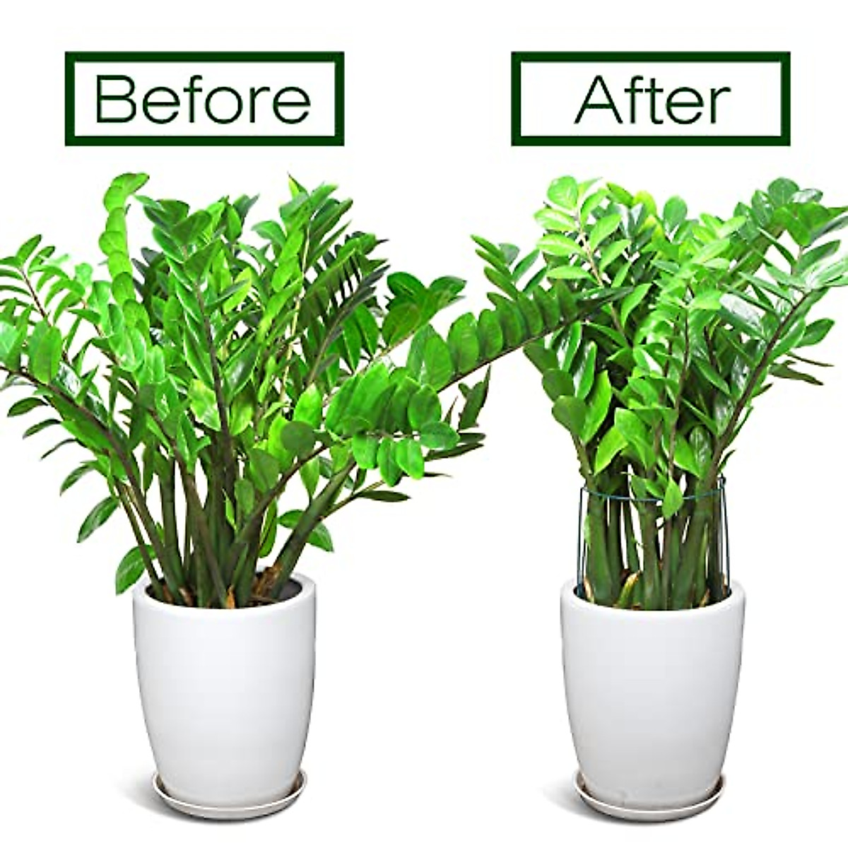 LEOBRO 4 Pack Plant Support Stake, Metal Garden Plant Stakes, Peony Support, Tomato Cage, Half Round Plant Support Ring Cage, Plant Support for Tomato, Rose, Vine, Indoor Plants (9.8" W x 15.7" H)