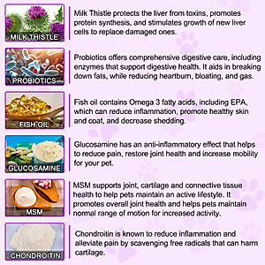 Dog Multivitamin Treats - 15 in 1 Multivitamin Tablets for Dogs with Glucosamine, Cranberry, Milk Thistle, Vitamins Supports Joint & Digestion, Skin & Coat - Peking Duck Flavor / 180 Chewable Tablets