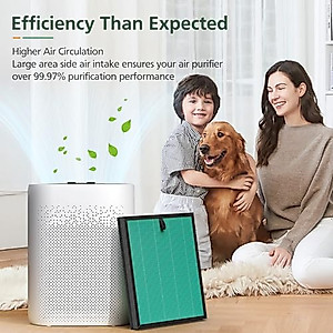 2-Pack MK-D05 Air Fil-ter Replacement for MK-D05 Air Cleaner Puri-fier, 4-in-1 High-Efficiency H13 True HEPA Filt-er with Carbon Filt-er, Green (Pet Dander Version)