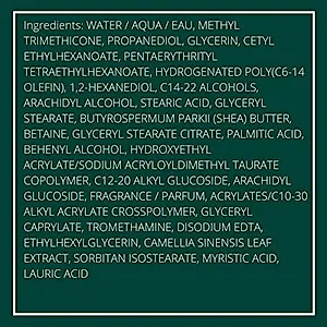 innisfree Green Tea Moisture Balancing Cream Hydrating Face Moisturizer, 2 Pound (Pack of 1)