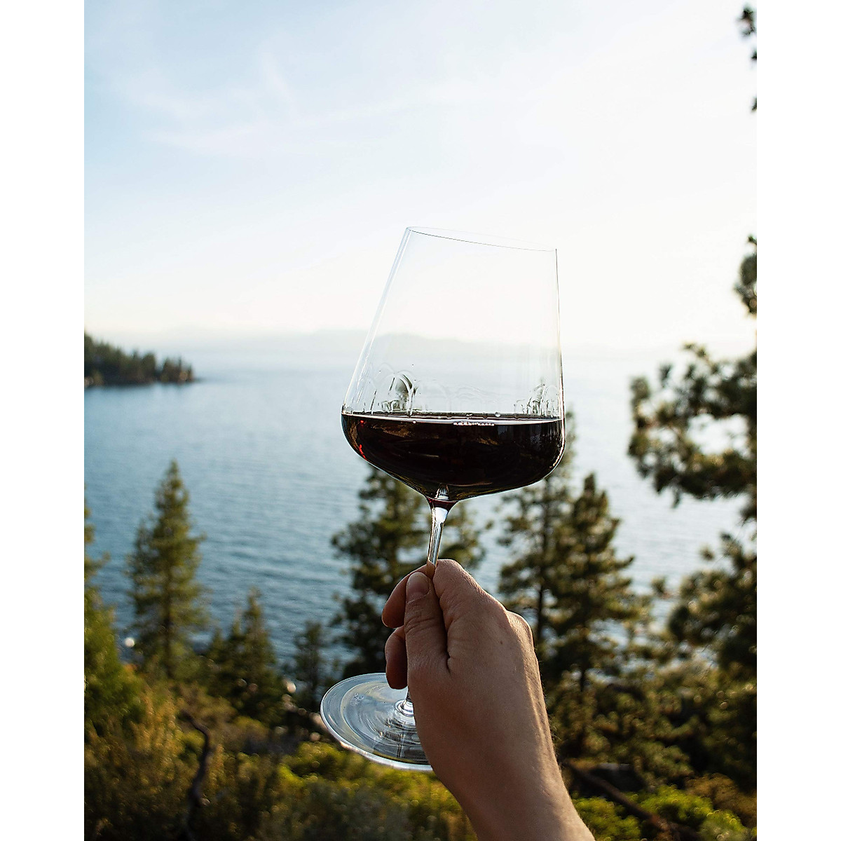 Zalto Denk'Art Bordeaux Hand-Blown Crystal Wine Glasses | Set of 6