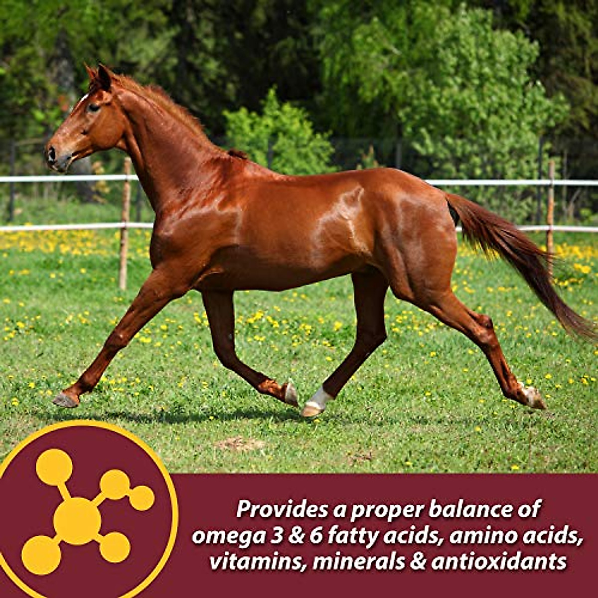 Farnam Laser Sheen Skin & Coat Supplement for Horses, Promotes Healthy Skin & Radiant Coat from The Inside Out, 7.5 Pound, 60 Day Supply