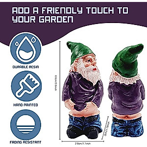 4pcs Miniature Gnome Fairy Garden,Collectible Garden Gnome with Fire Set,Garden Accessories Ornaments Decorations,Garden Gnomes Figurines Mini Landscape Gnome Statue for Outdoor/House Decor Gift