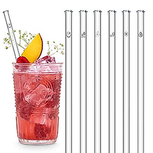 HALM Glass Straws - Climate Change Edition - 6 Reusable Drinking Straws With Engraved Icons 20cm (8 in) - World, Sun, Environment, Sustainability - Made in Germany - Dishwasher Safe - Eco-Friendly