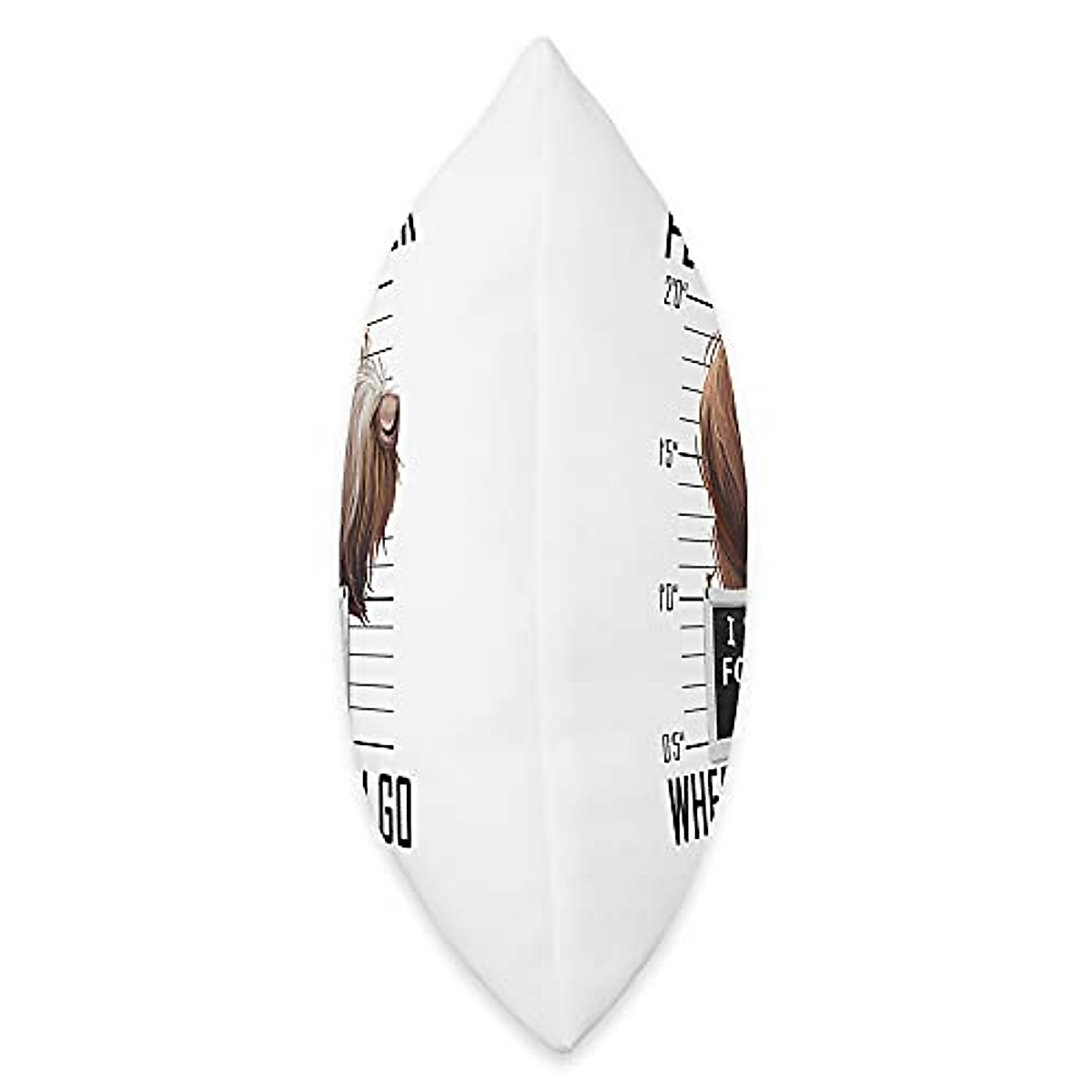 Wirehaired Pointing Griffon Dog Owner Gifts Personal Stalker Dog Pointing Griffon I Will Follow You Throw Pillow, 16x16, Multicolor