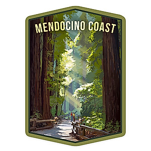 Die Cut Sticker Mendocino, California, Pathways in Redwood Forest, Contour Vinyl Sticker 1 to 3 inches (Waterproof Decal for Cars, Water Bottles, Laptops, Coolers), Small