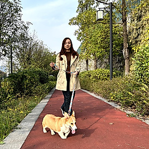 LOIIHEII Mothers' Day Dog Leash Match Dog Collar,Solid and Durable Dog Leash with Red Flowers,Leashes for Dog Training & Behavior aids for Small to Medium Dogs(S)