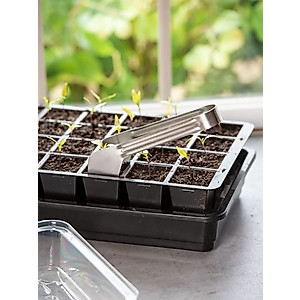 Gardener's Supply Company Seedling Transplant Tongs | Remove Seedling Starters Easily Reduces Root Damage | Stainless Steel