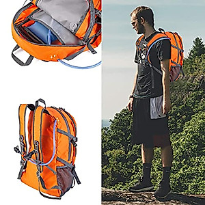 Sharkborough Daypack Backpacks, Orange, 40 Long