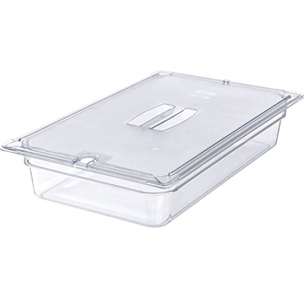 Carlisle FoodService Products StorPlus Plastic Food Pan, 4 Inches, Clear