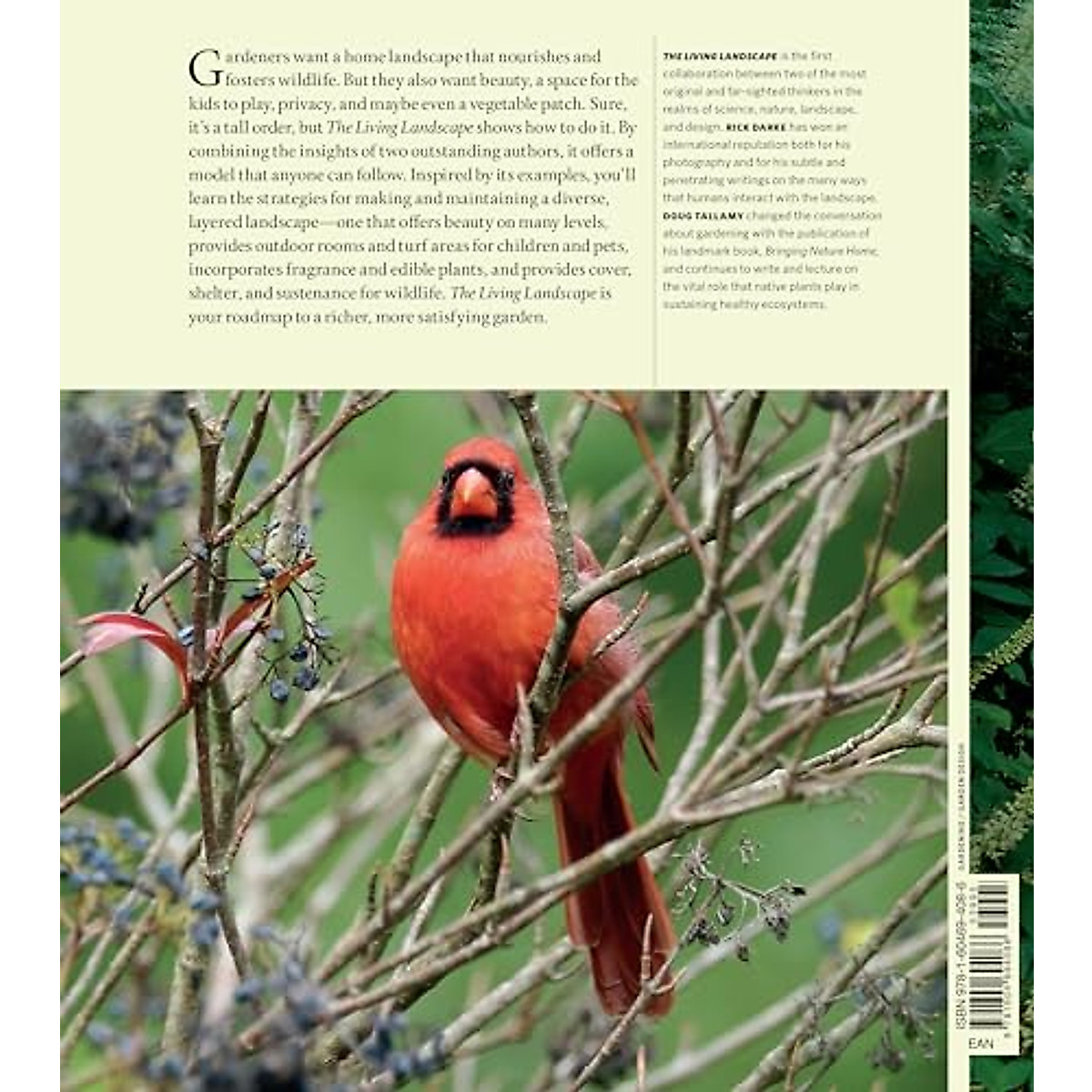 The Living Landscape: Designing for Beauty and Biodiversity in the Home Garden