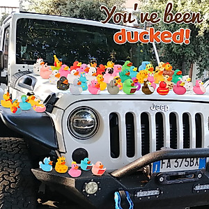 50 Pack Rubber Ducks for Jeep Duck: Assorted Rubber Duck Duckies in Bulk, 2.2inch Cute Mini Rubber Duck Toys in 50 Varieties for Kids Pool Activity,Baby Shower,Baby Bath Accessories