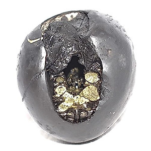 Adwaitya Golden ChinnaMasta Dasha MahaVidya Shaligram, Fossil, Fossil