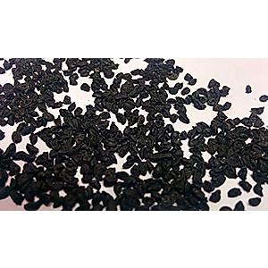 Leek Seeds “Carentan” – Full Leek Flavor with a Smaller Profile – Frost Tolerant | Seeds by Liliana's Garden |