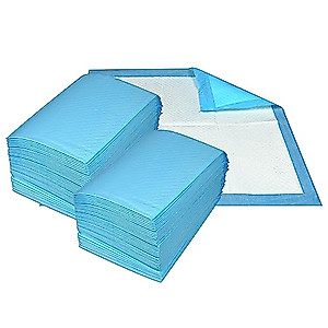 Roypet 22" x 22" Puppy Training Pads in Bag, 100-Count