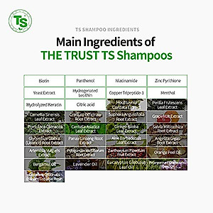 THE TRUST TS Shampoo 500ml(16.9oz), Healthy Hair and Scalp, Provides Vital Elements for Hair.