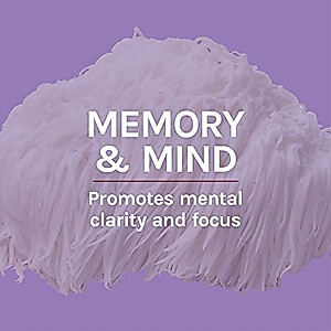 Host Defense, Lion's Mane Extract, Promotes Mental Clarity, Focus and Memory, Mushroom Supplement, Plain, 2 fl oz