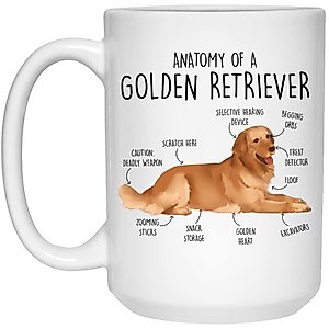 GreenStar Gifts Funny Golden Retriever Coffee Mug, Cute Golden Retriver Gift, Dog Lover, Gift For Her, Him, Golden Retriever Mom, Dad, Anatomy, Birthday 11oz, White (MUG-PKMXFKEDN3-11oz)