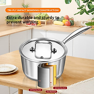 LOLYKITCH Whole Body Tri-Ply Stainless Steel 10 Inch Frying pan & 1.5QT 3QT Saucepan Cookware set of 5