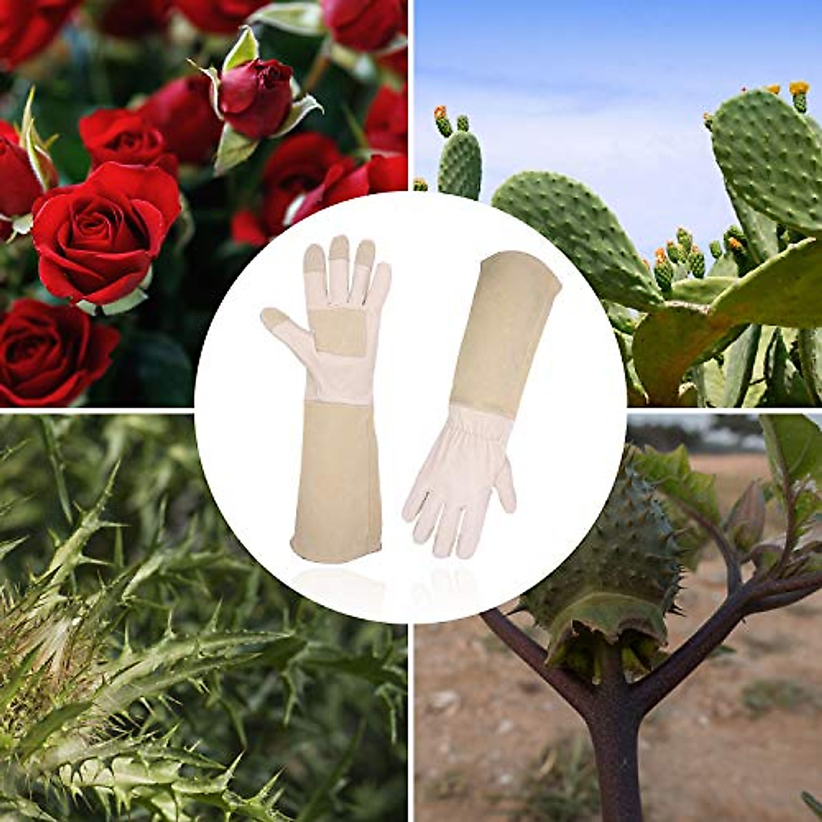 Long Sleeve Leather Gardening Gloves,Puncture resistant,Breathable Pigskin Leather Gauntlet,Rose Pruning Floral Gauntlet Garden Gloves For Women and Men (Medium, Beige)