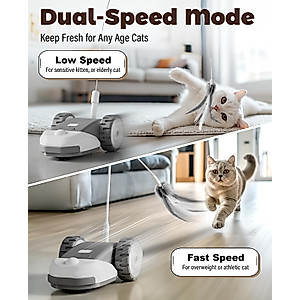CYROS 3-in-1 Interactive Cat Toy - 2-Speed Automatic Moving Mouse Cat Toys Self Play with 2pcs Hanging Feather String Ribbon and Wiggly Silicone Mice Tail for Bored Indoor Adult Cats Kittens
