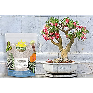 Desert Rose Potting Soil Mix (8 Quarts), Hand Blended Small Batch Soil Blend for Desert Rose Plant