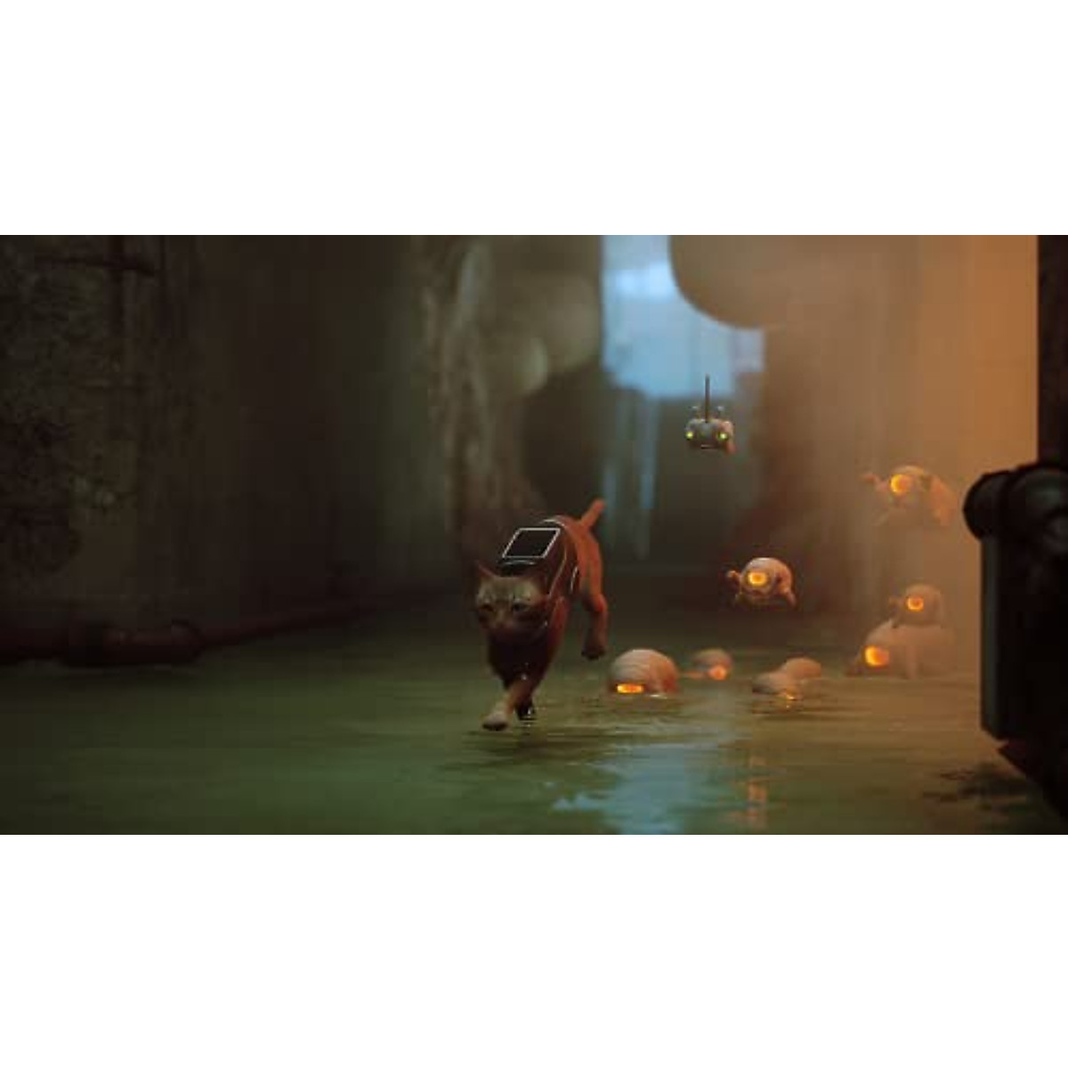 Stray - PlayStation 5