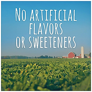 Gerber Snacks for Baby Yogurt Melts (Banana Vanilla)