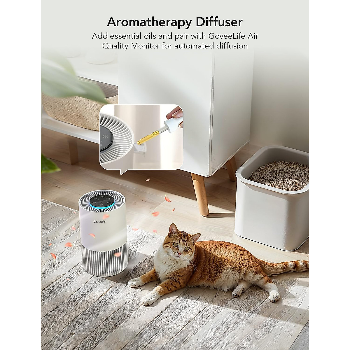 GoveeLife Smart Air Purifiers for Bedroom, with WiFi Alexa Control, HEPA 24dB Quiet Air Purifier with Fragrance Sponge, RGB Night Light, for Pet Dander, Allergies, Smoke, Office and Desktop, White