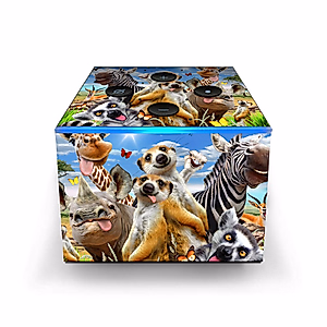 Animal Kingdom in Africa Sun - Skin Decal Vinyl Wrap for Amazon Fire TV Cube