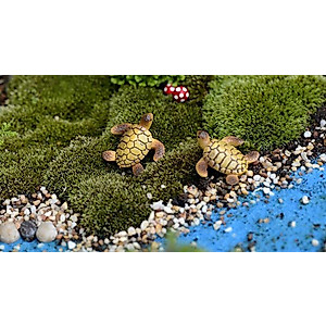 SunRise 6pcs Resin Cute Beach Sea Turtle Miniature Figurine Status Micro Landscape Decorations Fairy Gardens Dollhouse DIY Ornaments Decor