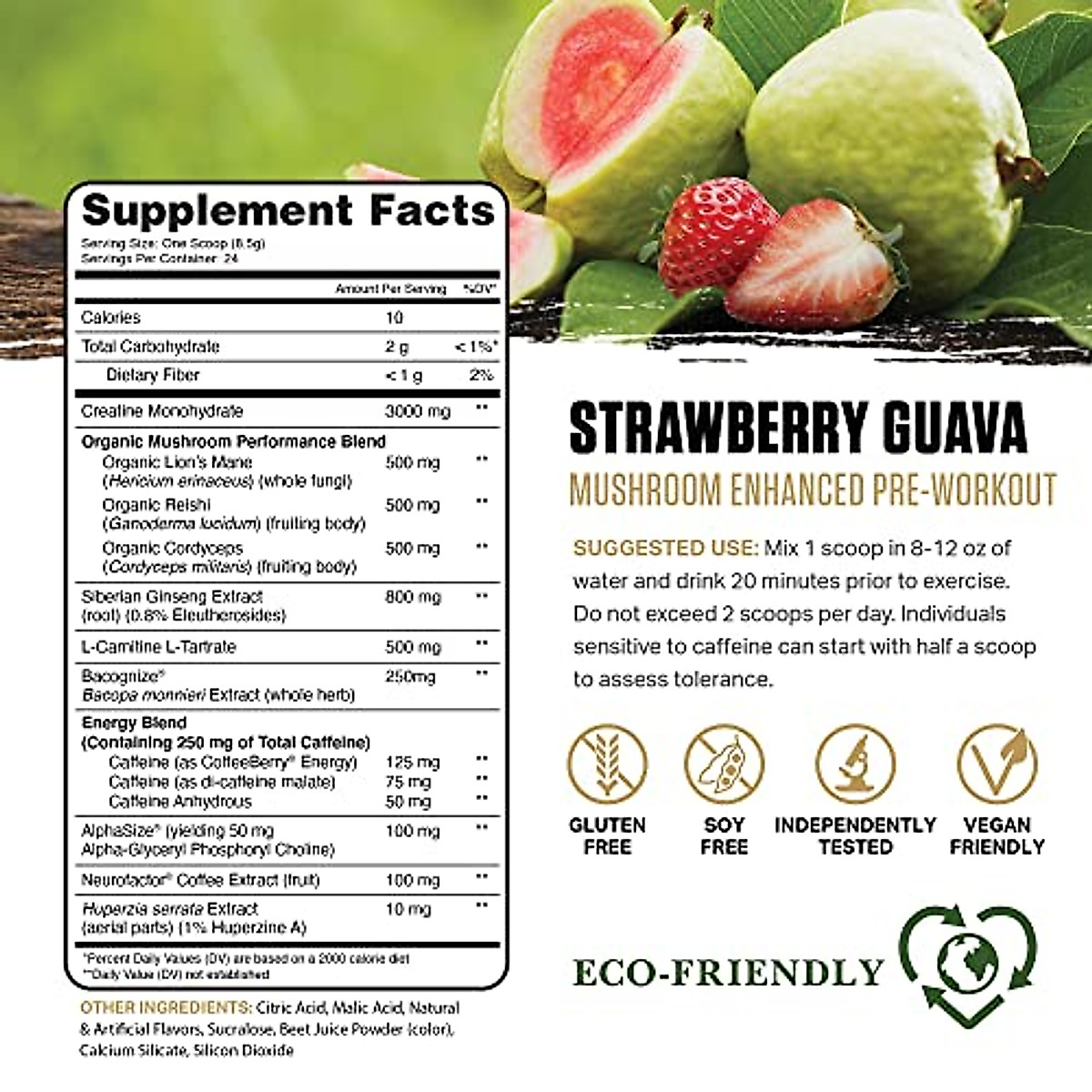 Ambrosia Kinetic Organic Preworkout, Mushroom Enhanced Natural Pre Workout Supplement, Nootropic Superfood Powder for Energy (Strawberry Guava)