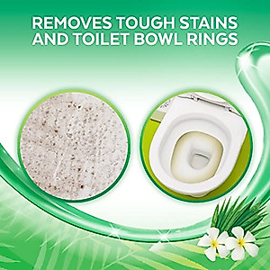 Lysol Toilet Bowl Cleaner Gel, For Cleaning and Disinfecting, Stain Removal, Forest Rain Scent, 24oz (Pack of 2)