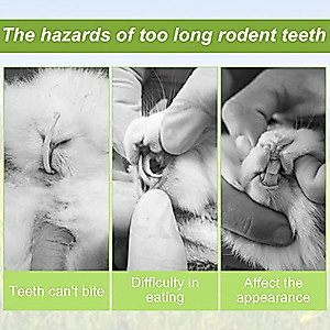 MEWTOGO 30Pcs Natural Timothy Hay Sticks, 3 Different Flowers Timothy Molar Rod, Hay Chewing Stick Chew Treats for Rabbits Chinchilla Hamsters Guinea Pigs Gerbils Groundhog Squirrels